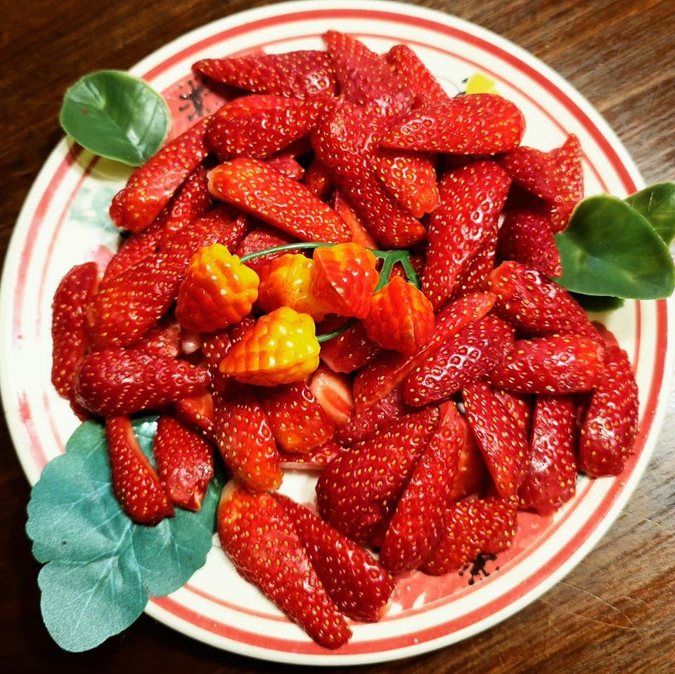 Fraises gariguettes | Communauté Ma Communaute Carrefour