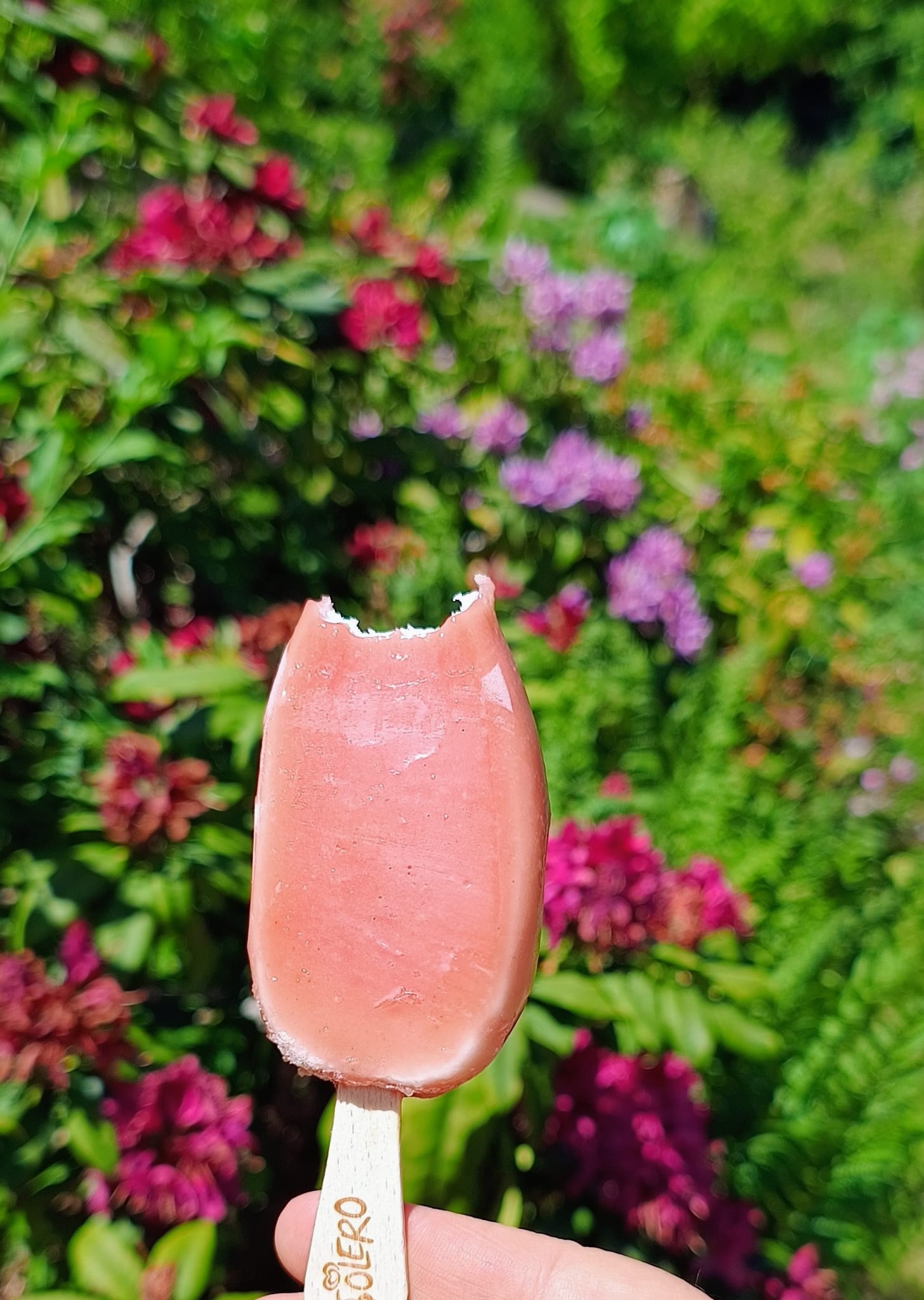 Solero fraise citron vert délicieux | Communauté Ma Communaute Carrefour