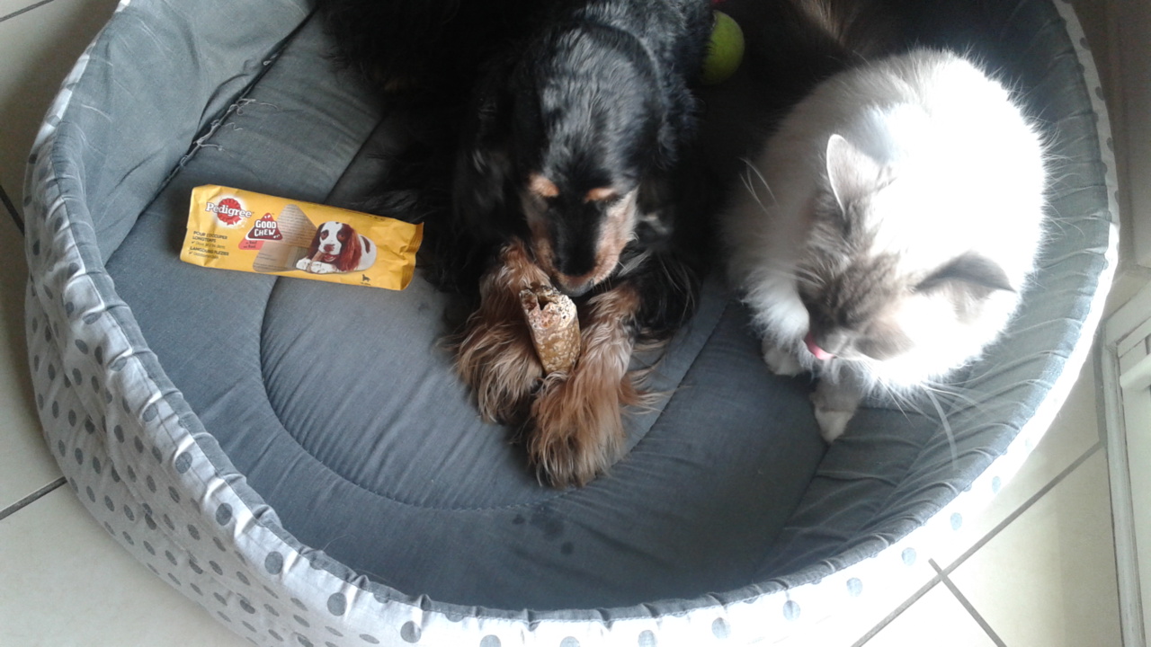 Qu'est-ce que tu manges ? | Communauté Ma Communaute Carrefour