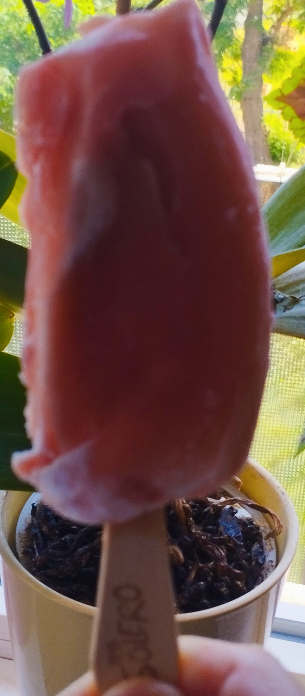 Mon Solero chouchou, le fraise citron | Communauté Ma Communaute Carrefour