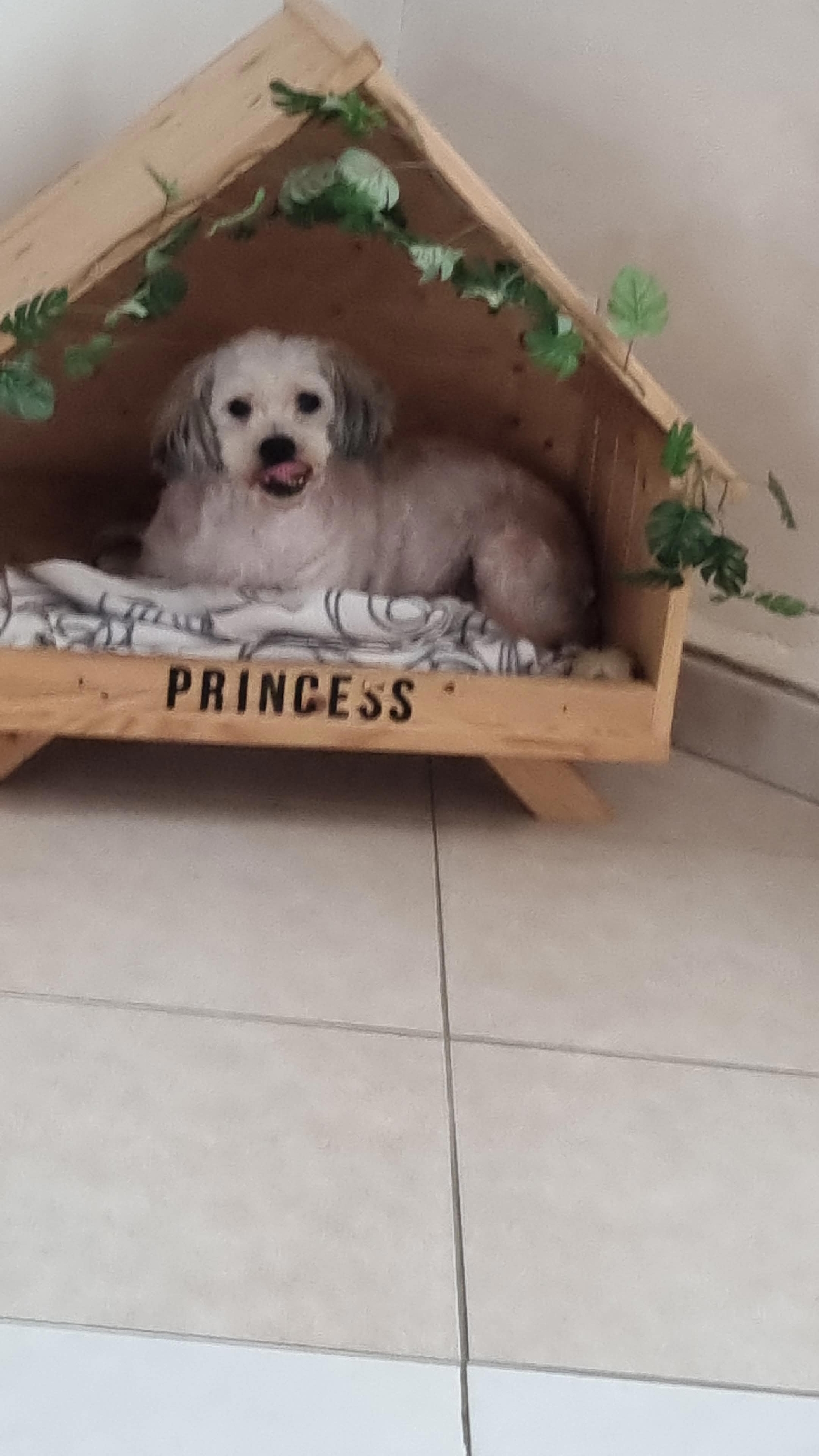 Ma princess 13 ans ️ | Communauté Ma Communaute Carrefour
