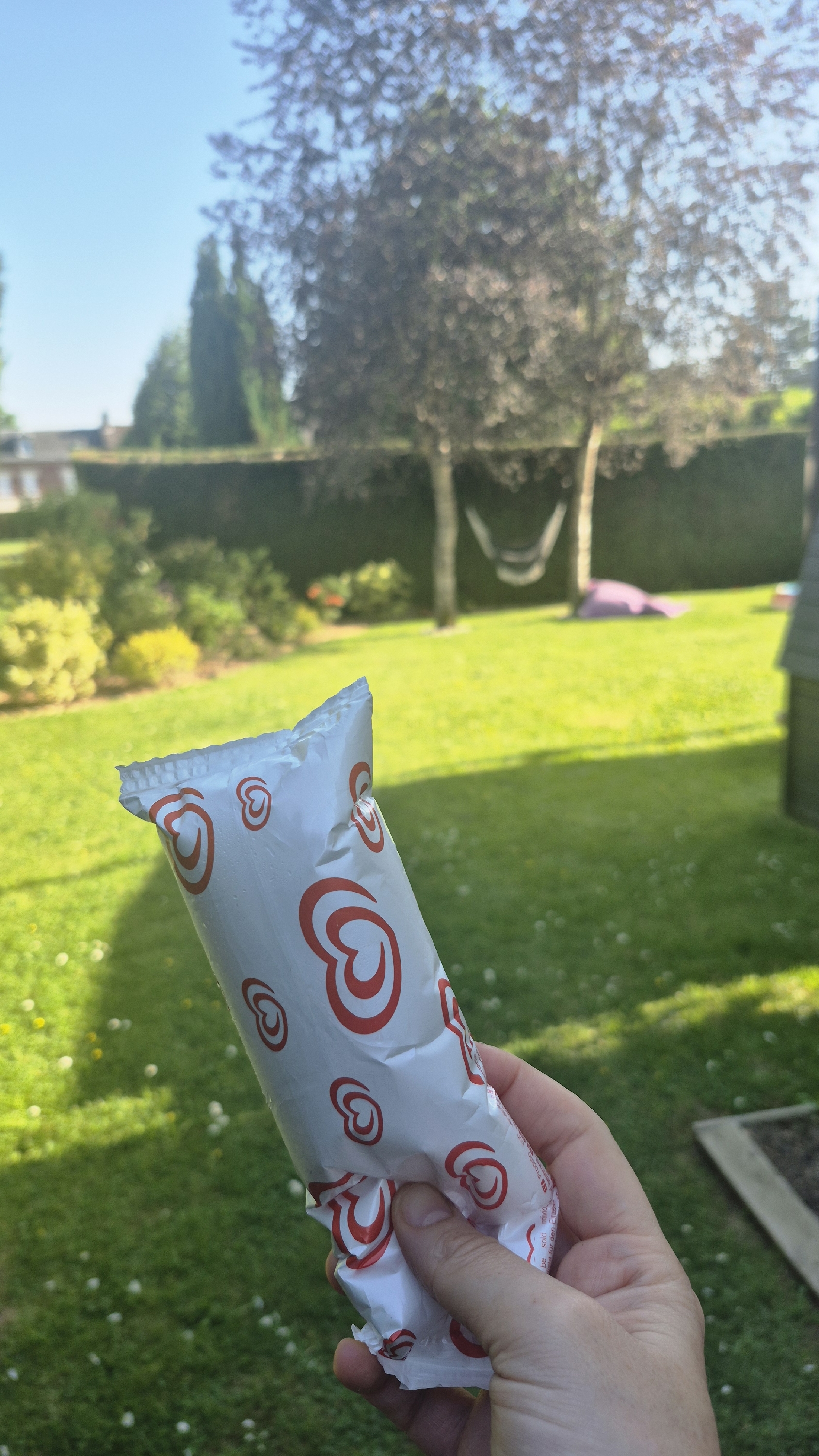 Un avant-goût d'été au jardin ☀️ | Communauté Ma Communaute Carrefour